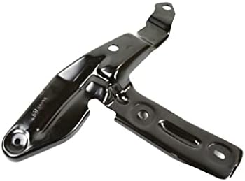 Amazon.com: Mopar Dodge Ram 1500-5500 Trailer Tow Mirror Reinforcement ...