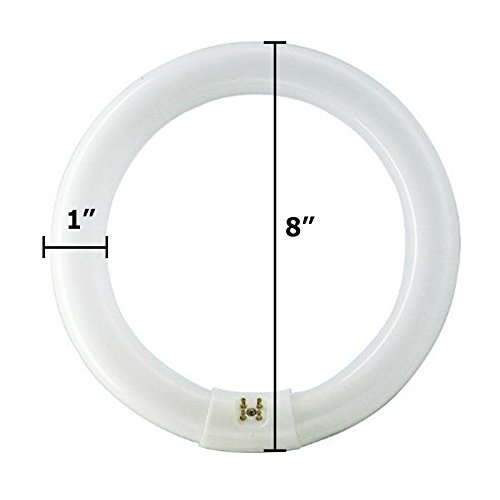 Philips 391169 Circline Fluorescent 22-Watt 8-Inch T9 Cool White Light ...