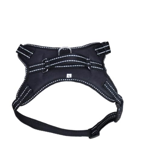 Heavy Duty No Pull Pet Dog Harness with 5ft Dog Leash Double Padded ...
