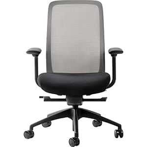 Eurotech Seating Vera Office Chair, Satellite : Amazon.in: Home & Kitchen