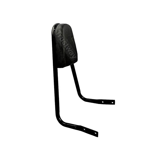 Dhe Best RBP15 Bike Full Backrest Back Support Pillion Cushion Back ...