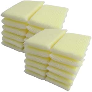 Amazon.com : Lifegard Aquatics Small Scratch Safe Algae Pads, 24 Pack ...