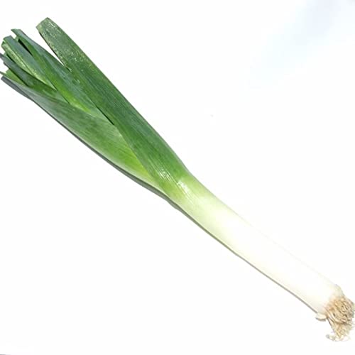 Amazon.com: Organic Leeks, 1 Bunch : Grocery & Gourmet Food