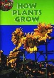 Plants: How Plants Grow Big Book (Big Books: Plants): Angela Royston ...