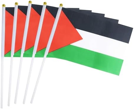 Amazon.com : 25 Pack Hand Held Small Mini Palestine Flag,Palestinian ...