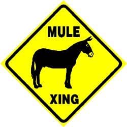 Amazon.com: Mule Crossing Farm Animal pet Joke Sign : Home & Kitchen