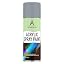 ARNEESH Acrylic Spray Paint, 400ml, SQUIRREL GREY Gloss Finish, Quick ...