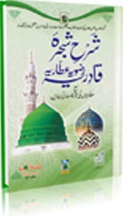 Amazon.com: Sharah Shajra Shareef: Al Madinat-ul-Ilmiyah: Books