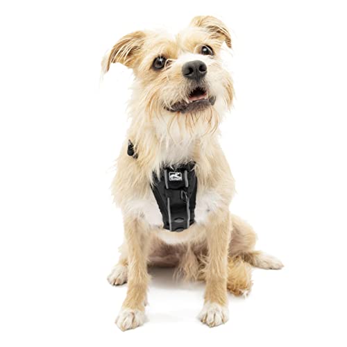 Amazon Best Sellers: Best Dog Halter Harnesses