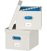Amazon.com: DYWMM Hanging File Box with Lid, Set of 2 Filing Organizer ...