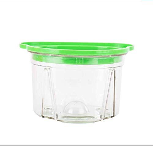 Amazon.com: Dental Laboratory Material Plastic Dental Duplicating Flask ...