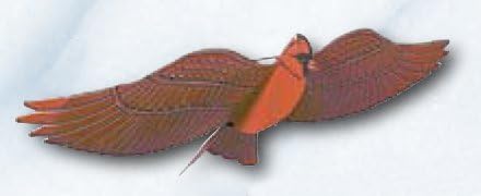 Amazon.com: Jackite Assembled Cardinal Bird Kite, Wind Sock : Toys & Games