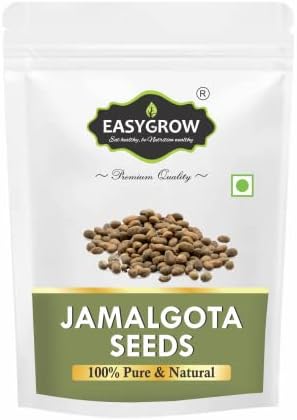Brijbooti Jamalgota Seed 100 Gram - Jamal ghota Seeds - Croton Seed ...