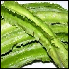 Creative Farmer Vegetable Seeds Chathura Payar Seeds - Winged Beans ...