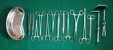 Forgesy Stainless Steel Manual Lscs Instrument Kit, For Hospital, 10 To ...
