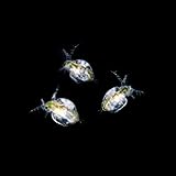 ・ブランド:charm(チャーム)・製造元:株式会社チャーム・製造元/メーカー部品番号:587126