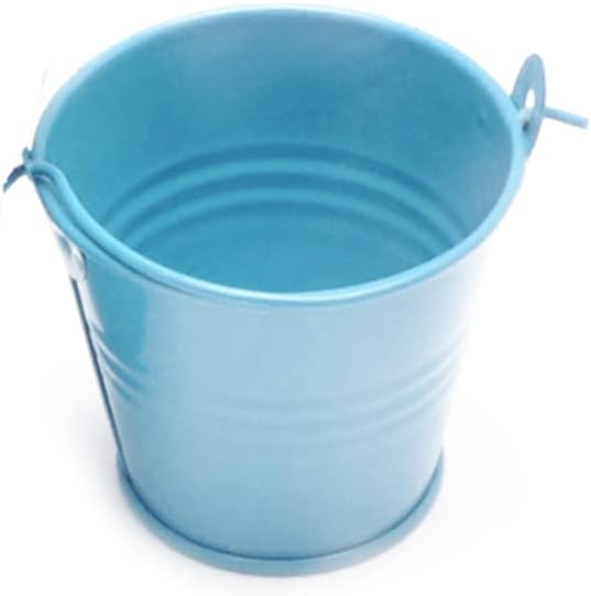 Colored Galvanized Bucket - Metal Buckets with Handles | Small Tin ...