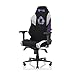 Amazon.com: Secretlab Titan Evo Fortnite Raven Edition Gaming Chair ...