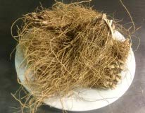 DEVAMA THE DIVINE® KHAS ROOT- KHUS JAD - USHIRA - VETIVER ROOTS ...