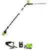 Amazon.com : Greenworks Pro 80V 20" Cordless Pole Hedge Trimmer, 2.0Ah ...