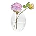 Amazon.com: Ellipse Vase,Oval Vase Clear Acrylic Flower Vase Floral ...