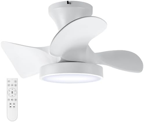 JSAITEE 20 Inch Low Profile Ceiling Fans with LED Lights and Remote ...