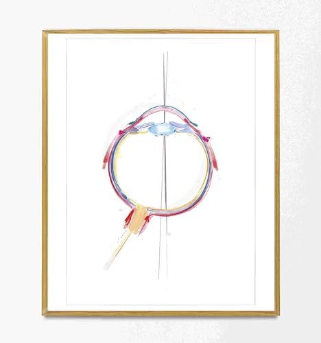 Amazon.com: Eye Anatomy Art Poster, Eye Anatomy Decor, Ophthalmology ...