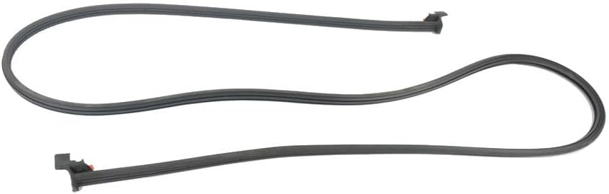 Amazon.com: Genuine OEM Door Seal for RAM 68229637AC : Automotive