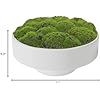 Amazon.com: NAHARO New Moss Bowl, Handmade Ceramic Bowl. 11" Artificial ...
