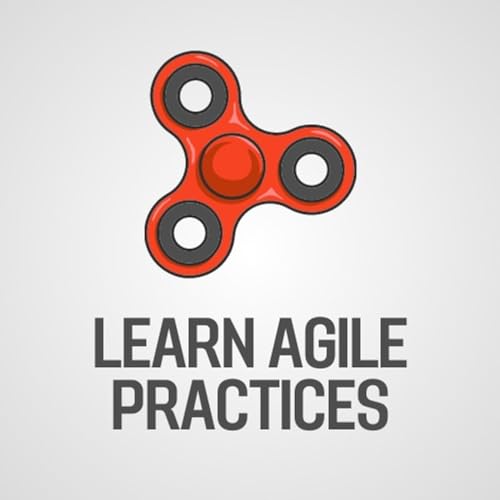 Amazon.com: Learn Agile Practices : Dan the Dev: Books