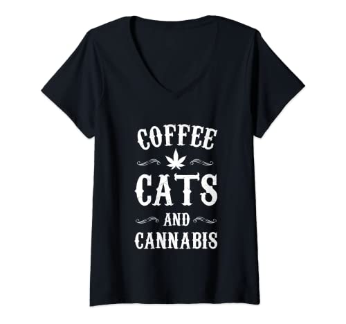 Katze Cannabis – Die 15 besten Produkte im Vergleich - Haustierratgeber ...