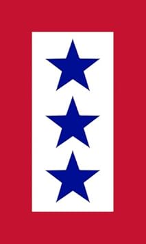Amazon.com - 3 Blue Stars Service Flag Sticker (US Army Three Served ...