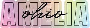 Amazon.com - Amelia Ohio Souvenir Vinyl Decal Sticker Holographic ...