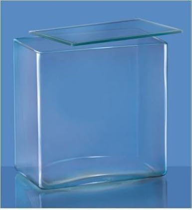ABGIL GLASS SPECIMEN JAR RECTANGULAR WITH GLASS COVER. 15 X 10 X 5 (Ht ...