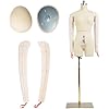 Amazon.com: lavandeform Female Dress Model Torso Body Clothing Forms ...