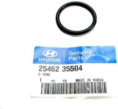 Amazon.com: General Motors 55556547, Engine Coolant Pipe O-Ring ...