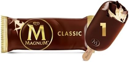 Magnum Classic Ice Cream Stick 100 ml : Amazon.ae: Grocery