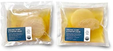 Amazon.com: Organic SCOBY 2-Pack | Kombucha Starter Kit with Live ...