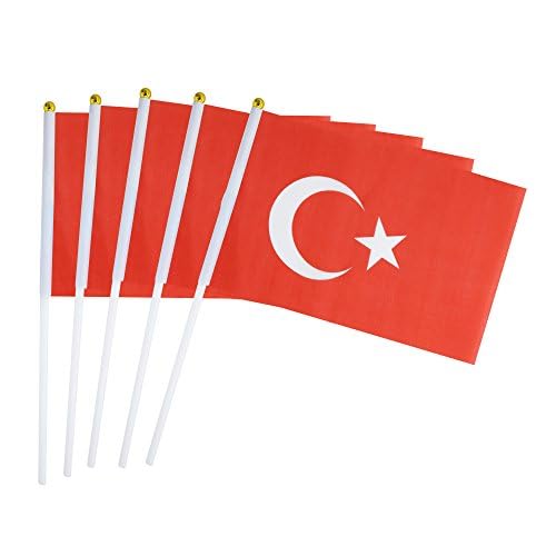 Buy 25 Pack Hand Held Small Mini Turkey Turks Stick Round Top National ...