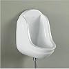 SENISTO Ceramic Wall Mount Small Urinal Pot for Gents/Male/Boys/Men ...
