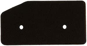 Amazon.com: Honda 17211-Z11-000 Element Air Cleaner : Automotive