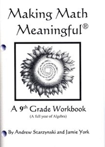 Making Math Meaningful: A 9th Grade Workbook: Andrew Starzynski, Jamie ...