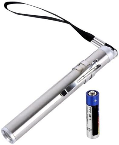 HYZIK Aluminium Pocket Pen LED Torch Light for Doctors | Nurses ...
