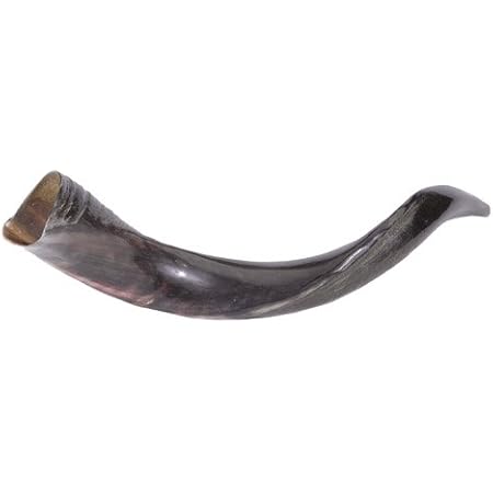 Amazon.com: Jerusalem Shofar Kosher Yemenite Horn Polished Natural ...