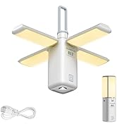 Amazon.co.jp: KLARUS CL2 フリーフォールディング アイケア キャンプ