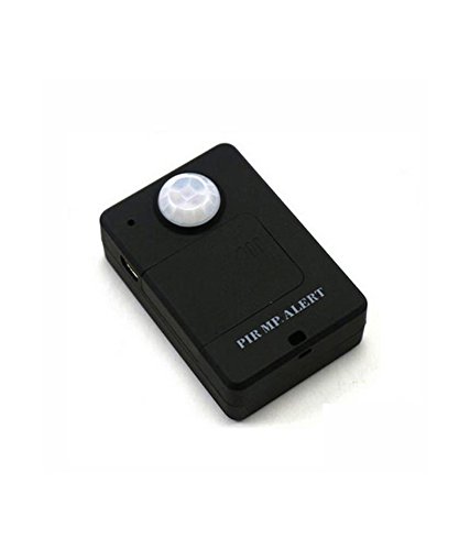 Buy Spy Pir Sensor Online at Low Price in India | Hawks Eye Camera ...