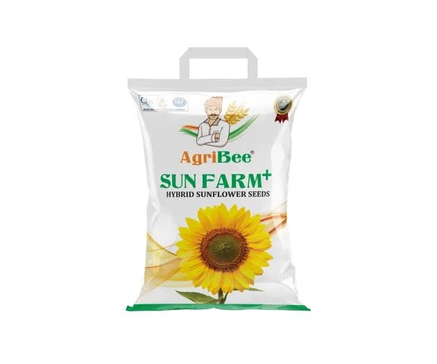 AgriBee Hybrid Sunflower Seeds 2 Kg for Farming Plus : Amazon.in ...
