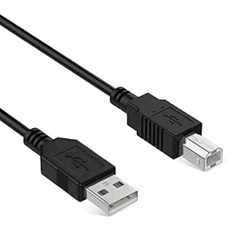 LIONX USB Printer Cable to Computer – 6 Feet USB 2.0 A to B High-Speed ...
