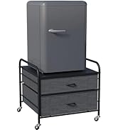 Amazon.com: Tuedaino Mini Fridge Stand, 120LBS Metal Frame Black Iron ...