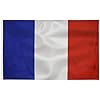 French Flag 90 x 150 cm with Brass Eyelets Polyester Bright Colours ...